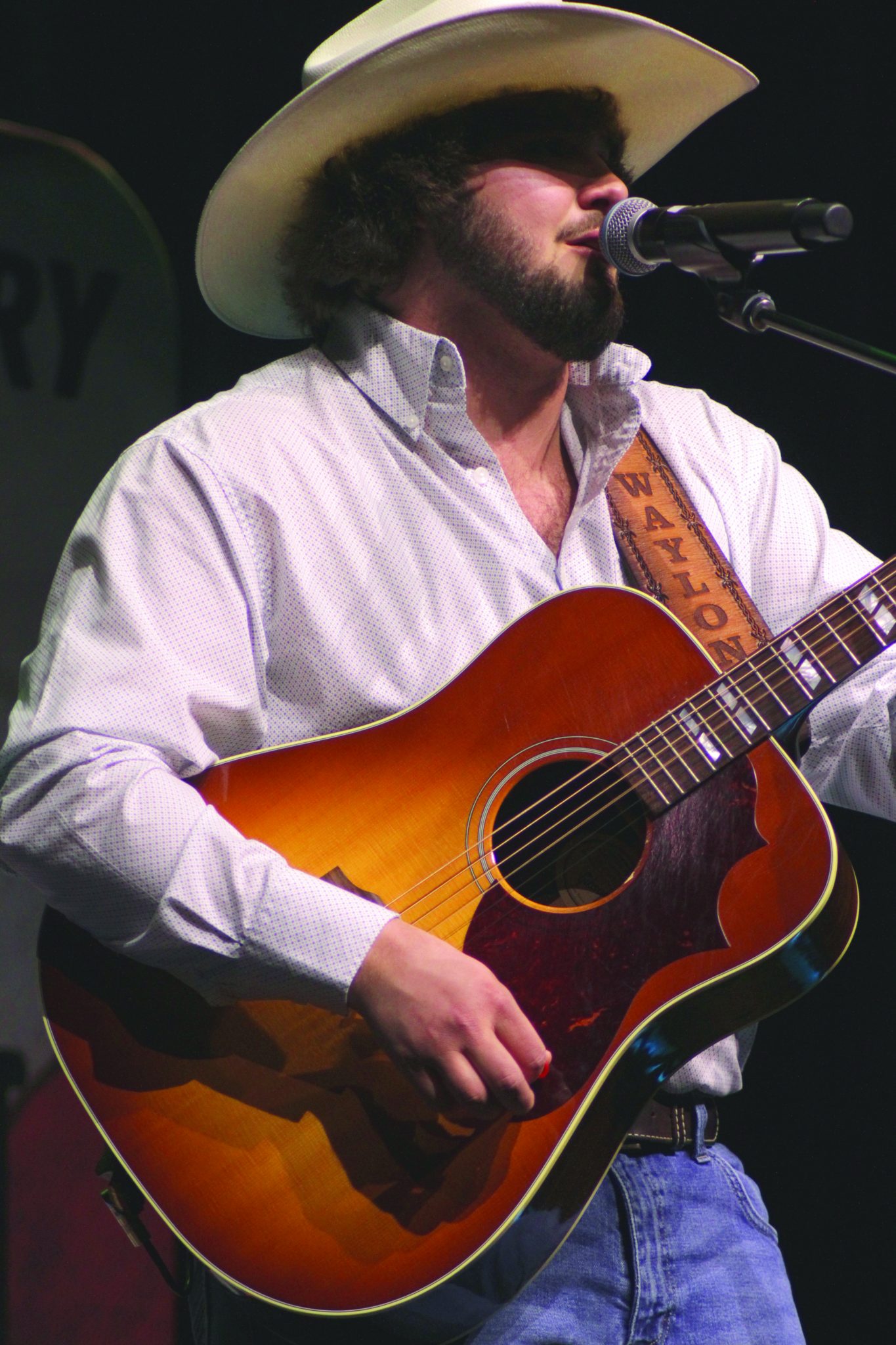 Capitol Goes Country Article - Flint Institute of Music